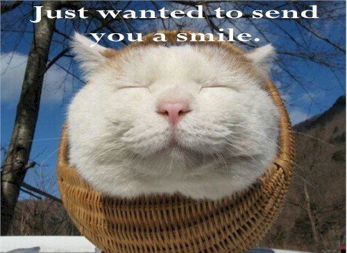 Send A Smile Pictures, Images - Page 2